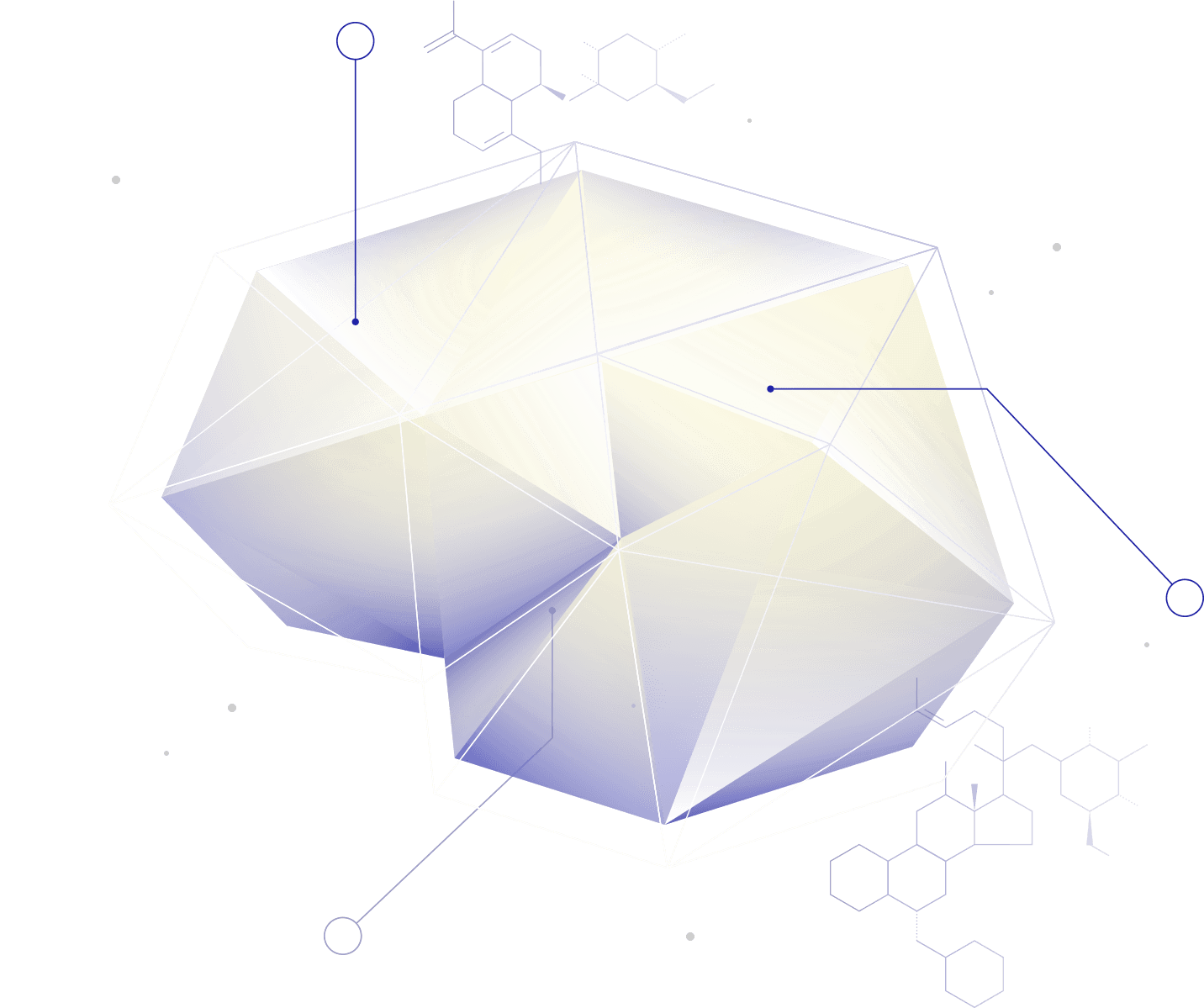 Brainwell - Research